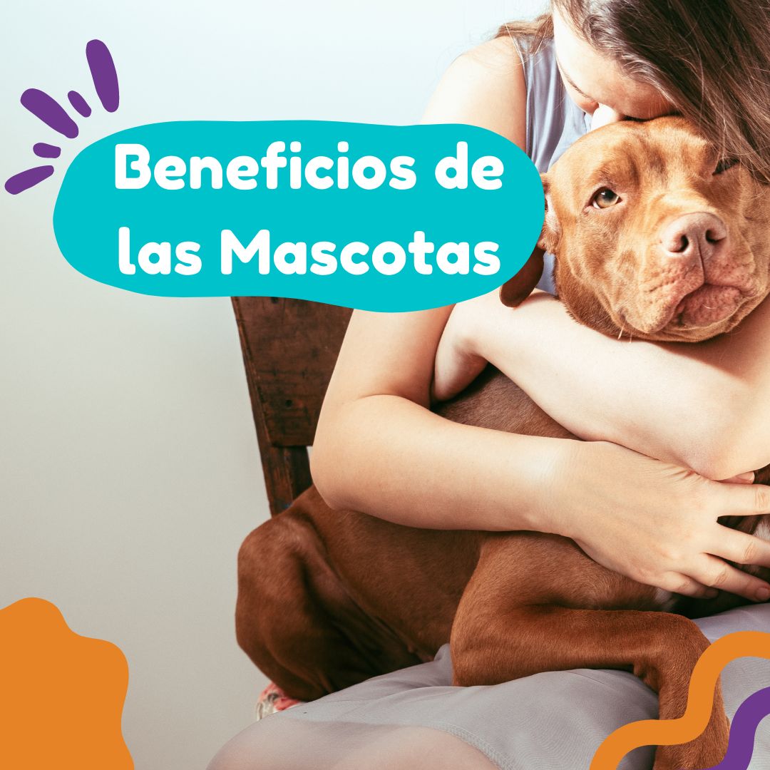 Beneficios secretos de tener una mascota – Carnaval Animal