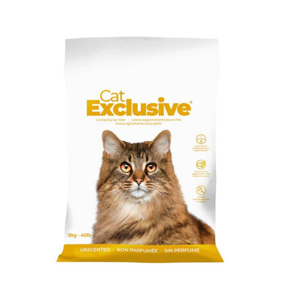 Arena Cat Exclusive 10kg – Carnaval Animal